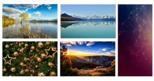 Understanding The 7 Formal Elements Of Photography